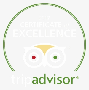 Social - Circle - Free Transparent PNG Download - PNGkey