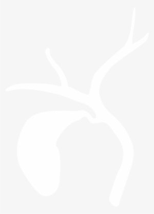 Gallbladder And Bile Ducts - Gallbladder - Free Transparent PNG ...