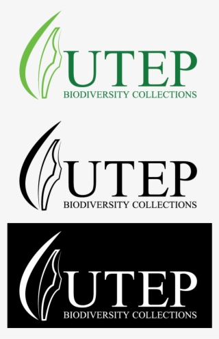 Utep Biodiversity Collections Logo - Free Transparent PNG Download - PNGkey