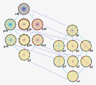 Symmetries Of A Regular Icosagon - Free Transparent PNG Download - PNGkey