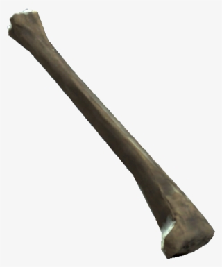 Tibia - Free Transparent PNG Download - PNGkey
