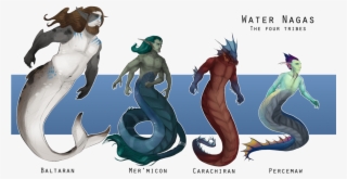 Woc Races Water Nagas - Free Transparent PNG Download - PNGkey