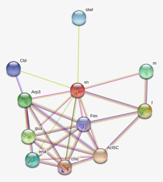 PNG, Transparent PNG Image Free Download , Page 15713 - PNGkey