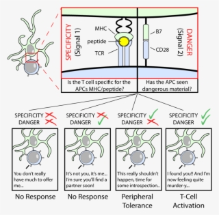 Episode 001 Graphics 03 Free Transparent Png Download Pngkey
