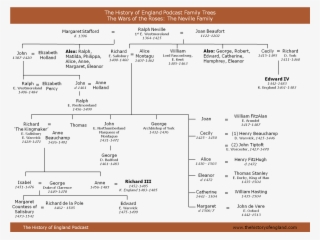Neville PNG, Transparent Neville PNG Image Free Download - PNGkey
