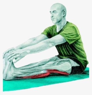 20 Myswimpro Stretch Seated Forward Toe Touch - Free Transparent PNG ...