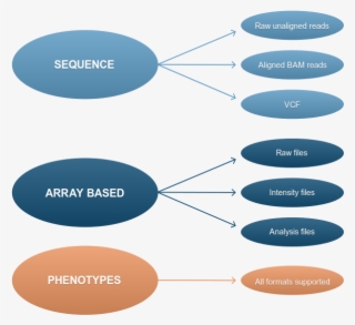 Ega Accepted Data Types - Free Transparent PNG Download - PNGkey