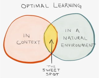 Codecademy Lacks Direction And Context - Free Transparent PNG Download ...