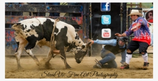 Bucking Bulls, Bull Riding, Ranch, Ohio, Guest Ranch, - Free ...