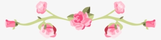 Tea Rose Border - Free Transparent PNG Download - PNGkey