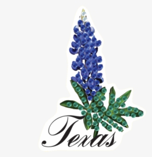 Bluebonnet Flower Png - Free Transparent PNG Download - PNGkey