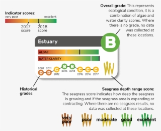 Score-legend - Diagram - Free Transparent PNG Download - PNGkey