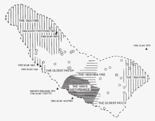 Approximate Limits Of Different Disturbance Patches - Diagram - Free ...