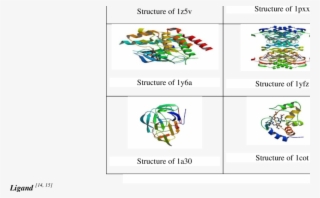 Structure Of Target - Diagram - Free Transparent PNG Download - PNGkey