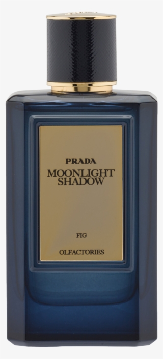 Prada Fragrances Men - Free Transparent PNG Download - PNGkey