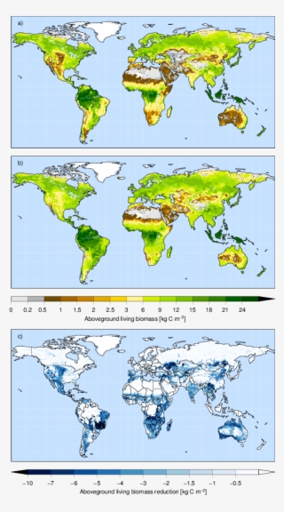 Simulated Biomass C - World Map - Free Transparent PNG Download - PNGkey