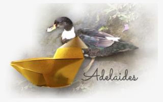 91732 - Application Programming Interface - Free Transparent PNG ...