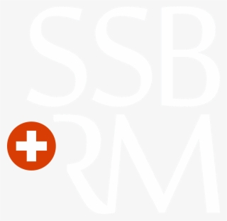 Ssb Rm - Flag - Free Transparent PNG Download - PNGkey