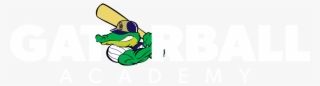 Gatorball Baseball Academy - Free Transparent PNG Download - PNGkey