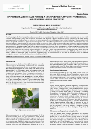 Pdf - Tree - Free Transparent PNG Download - PNGkey