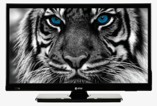 E Tv 1 Logo Png Transparent - E Entertainment Network Logo - Free ...