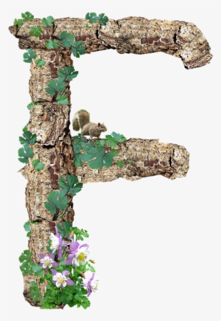 Alphabet, Letter, Rustic, Timber, Bark - Natural Arch - Free ...