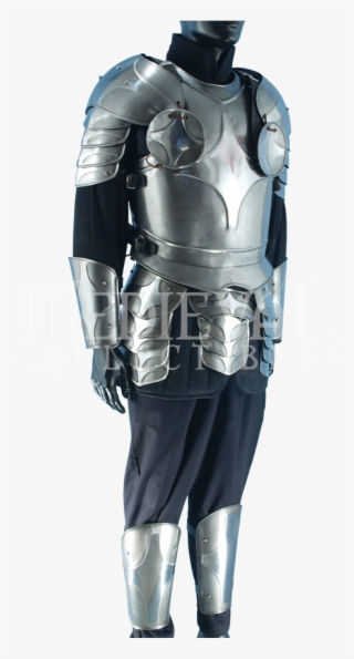 Armor King - Armored King Tekken - Free Transparent PNG Download - PNGkey