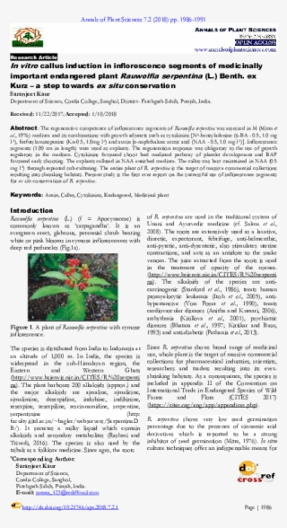 Pdf - Tree - Free Transparent PNG Download - PNGkey