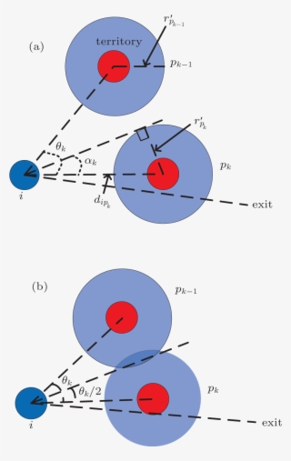 A New Collision Avoidance Model For Pedestrian Dynamics