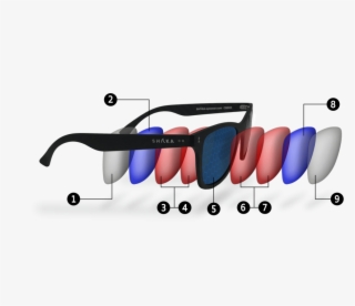 Test Mark Protect Ymca - Free Transparent PNG Download - PNGkey