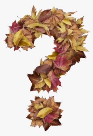 Question Mark Symbol With Dry Leaves - Single Cell Vs Bulk Rna Seq ...