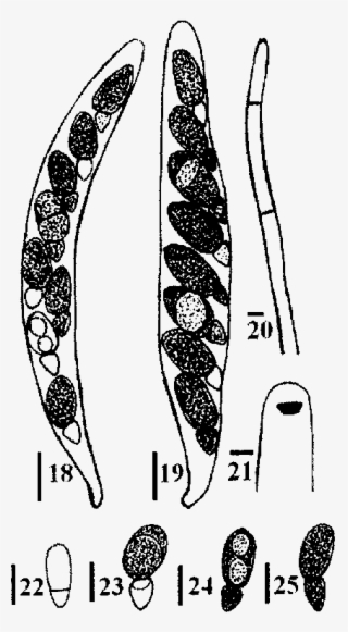 Illustration Of Young Adults - Young Adult Illustration Png - Free ...