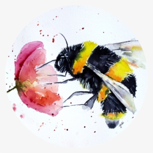 Adrianne M Troia - Bee On Flower Watercolor - Free Transparent PNG ...