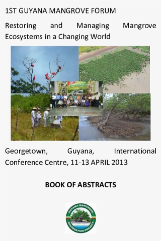 Pdf - Tree - Free Transparent PNG Download - PNGkey