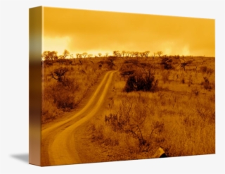 Dirt Road PNG, Transparent Dirt Road PNG Image Free Download - PNGkey