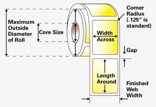 Core Muscles Diagram - Study Guide To Human Anatomy And Physiology 1 ...
