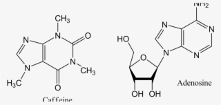 Pediatric Tachycardia With A Pulse And Poor Perfusion - Procainamide Vs ...