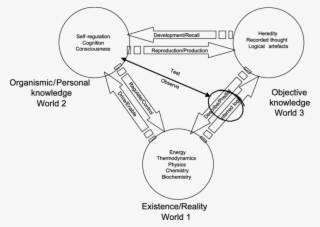 Karl Popper's Three Worlds Of Knowledge - Popper Three Worlds - Free ...