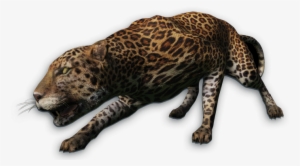 Far Cry - Far Cry 3 Sticker - Free Transparent PNG Download - PNGkey