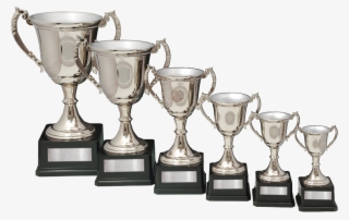 Transparent Gold Cup Trophy Png Picture Clipart - Transparent ...