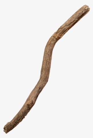 Tree Snake Clipart Snake Tongue - Tree Snake Png - Free Transparent PNG ...