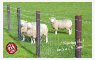 Octopost - Octopost Fencing - Free Transparent PNG Download - PNGkey