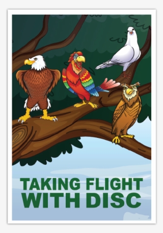 Take Flight Learning Offers A Variety Of Disc-based - Illustration ...