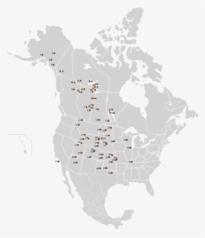 Current Distribution - Sonoran Pronghorn Range Map - Free Transparent ...