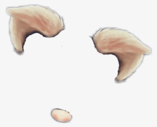 Cat Ears PNG, Transparent Cat Ears PNG Image Free Download - PNGkey