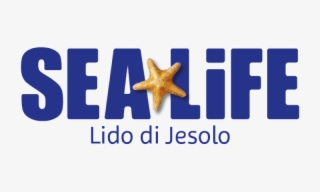 7 / - Sea Life Trust - Free Transparent PNG Download - PNGkey