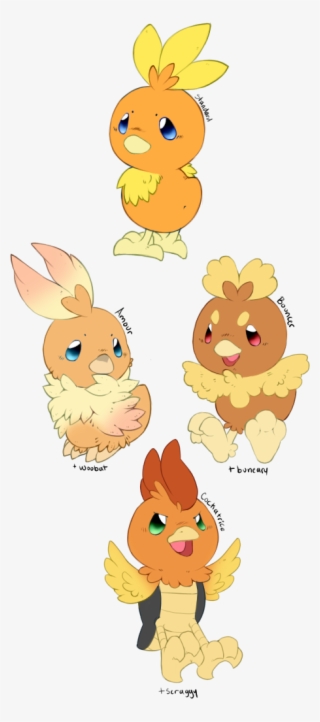 Torchic V2 - Cute Torchic - Free Transparent PNG Download - PNGkey