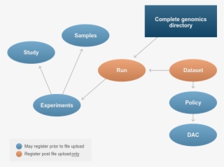 Complete Genomics Metadata - Diagram - Free Transparent PNG Download ...