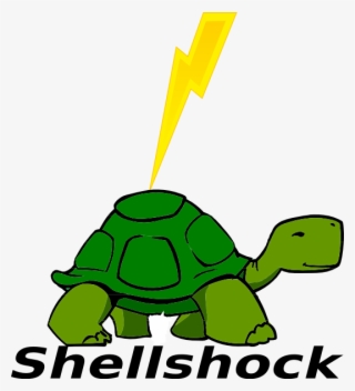 Turtle Cartoon Side View - Free Transparent PNG Download - PNGkey