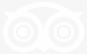 Tripadvisor-logo - Free Transparent PNG Download - PNGkey